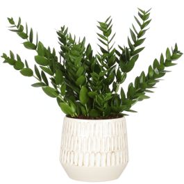 Natural Surfaces Übertopf 785 | Scheurich Shop